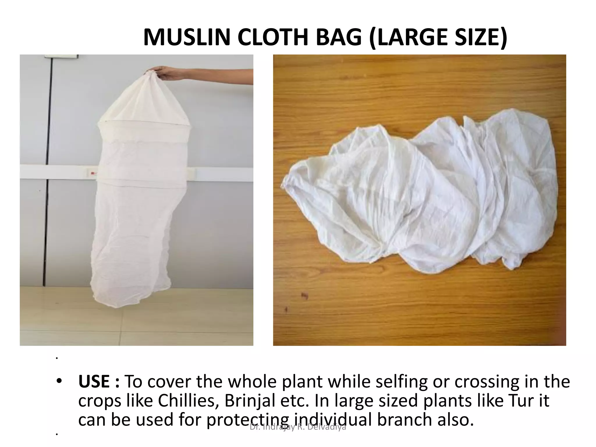 To study the plant breeder's kit's components | PDF