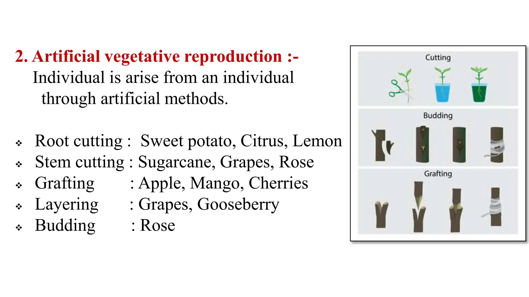 plant breeding methods in asexually or clonally propagated crops | PPTX