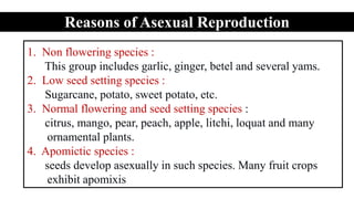 plant breeding methods in asexually or clonally propagated crops | PPTX