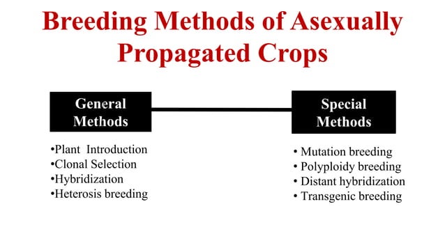 plant breeding methods in asexually or clonally propagated crops | PPTX