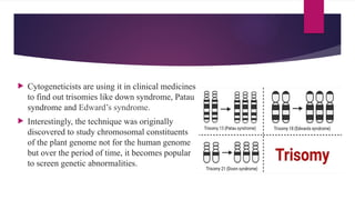Karyotyping techniques, In-situ hybridization and various applications ...