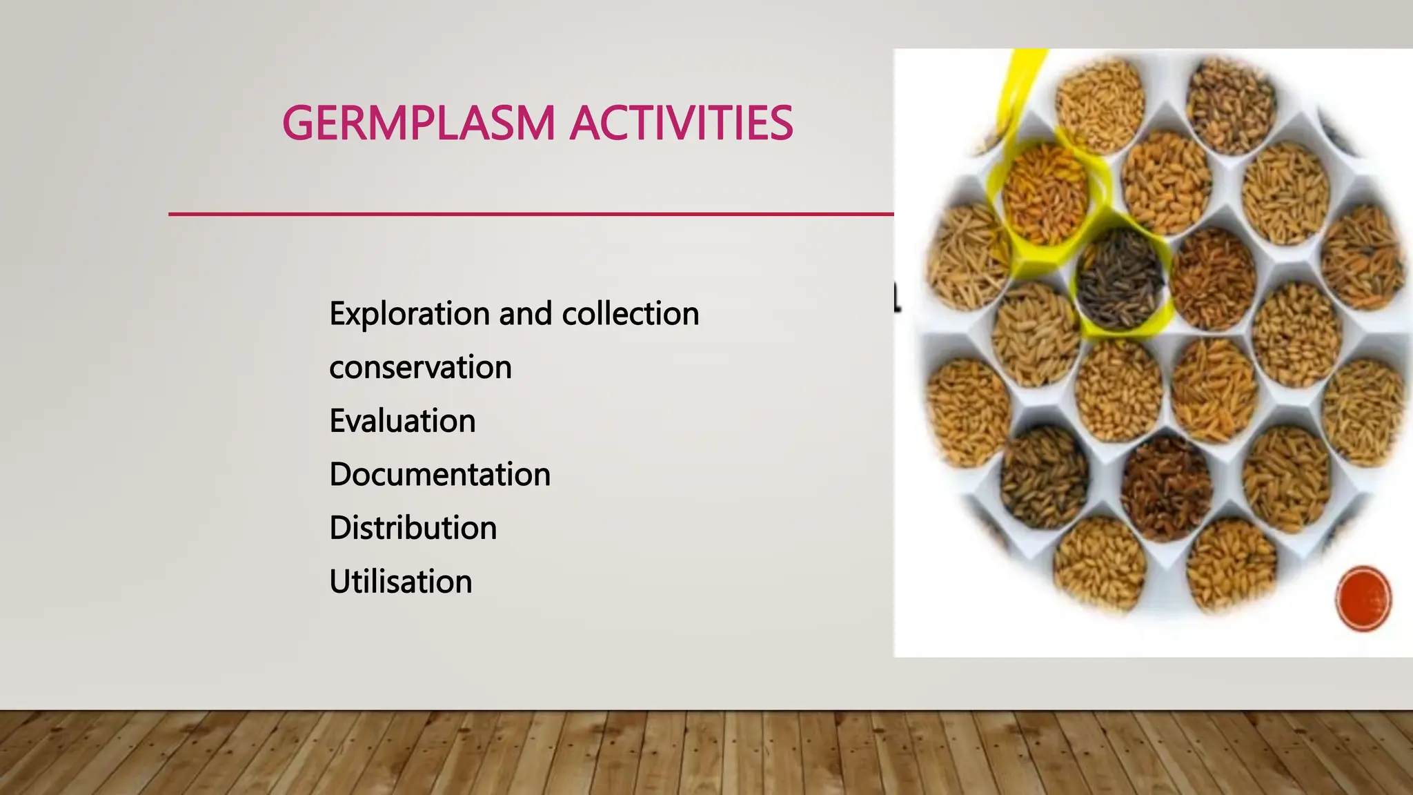 GPB 517 germplasm evaluation.pptx