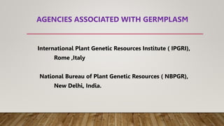 GPB 517 germplasm evaluation.pptx