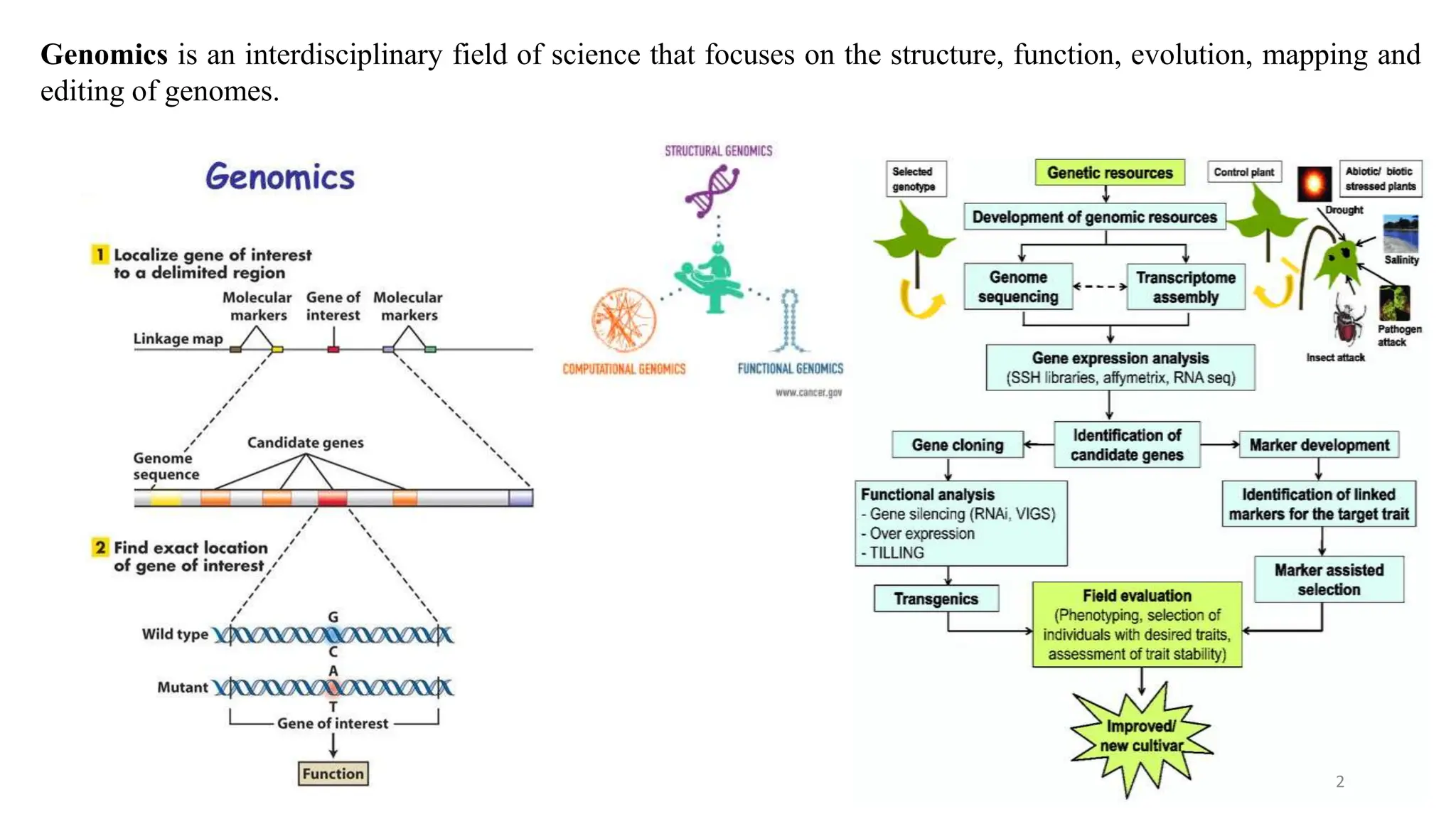Applications Of Sequence Information Structural Functional Comparative
