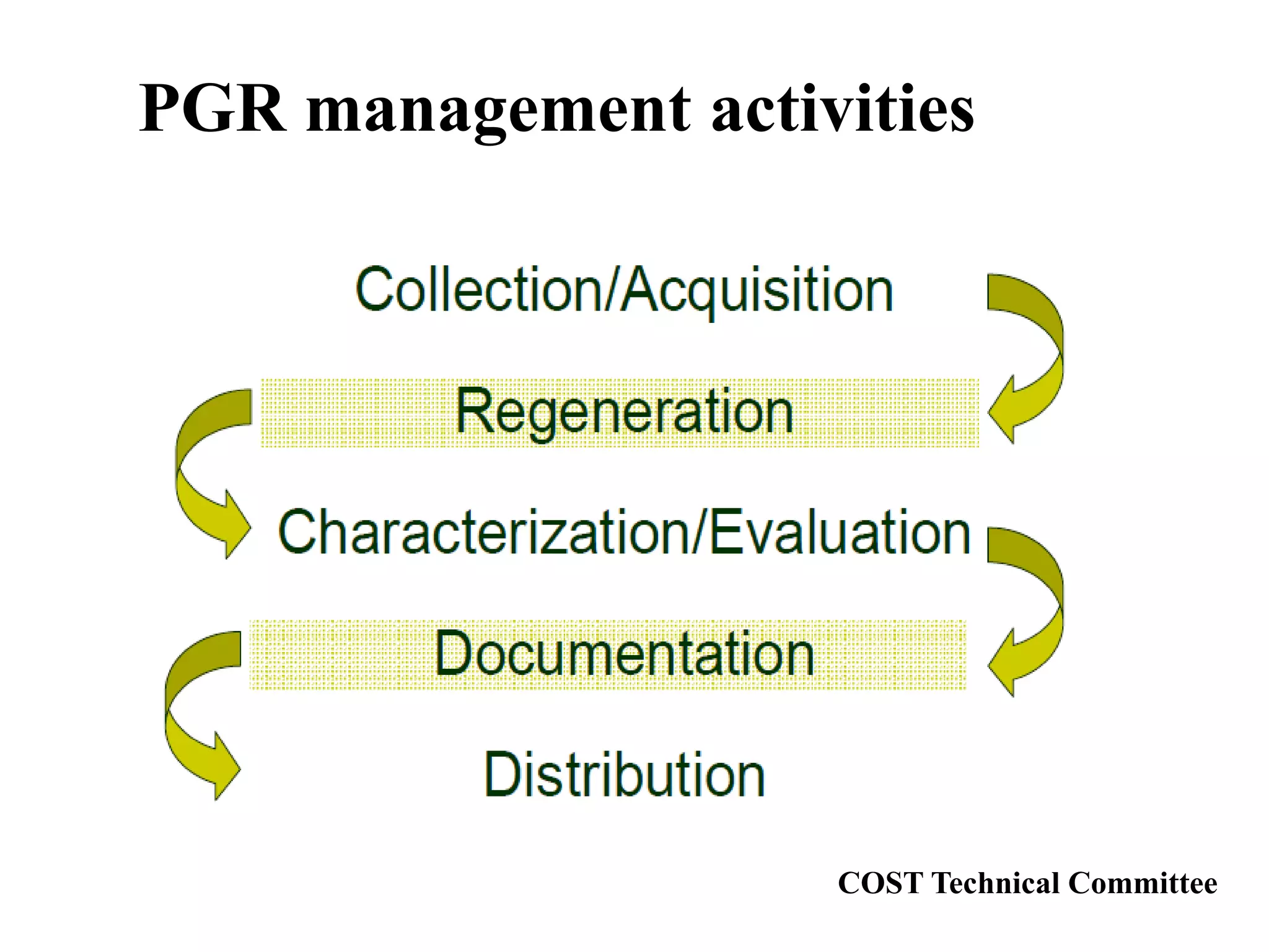 Gpb 811 converted | PPT