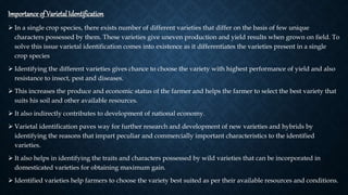 Varietal Identification | PPTX