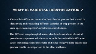 Varietal Identification | PPTX