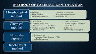 Varietal Identification | PPTX