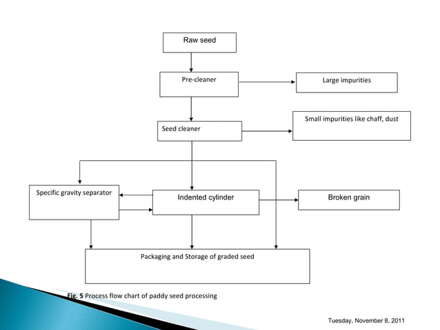 SEED PROCESSING PLANT | PPT | Gardening | Home & Garden