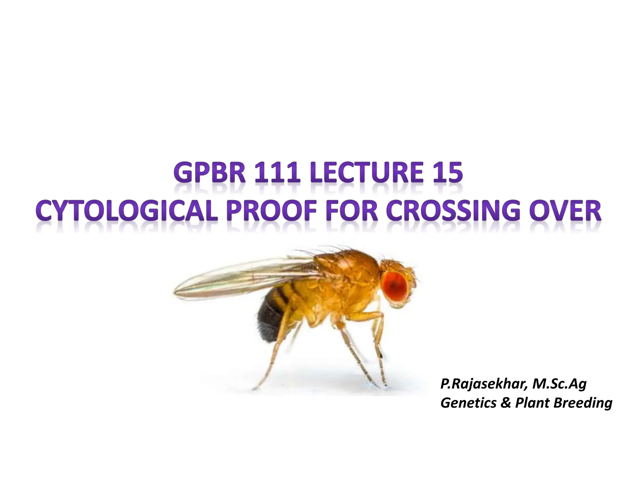 gpbr111lecture15cytologicalproofforcrossingover-191101060023.pdf