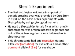 gpbr111lecture15cytologicalproofforcrossingover-191101060023.pdf ...
