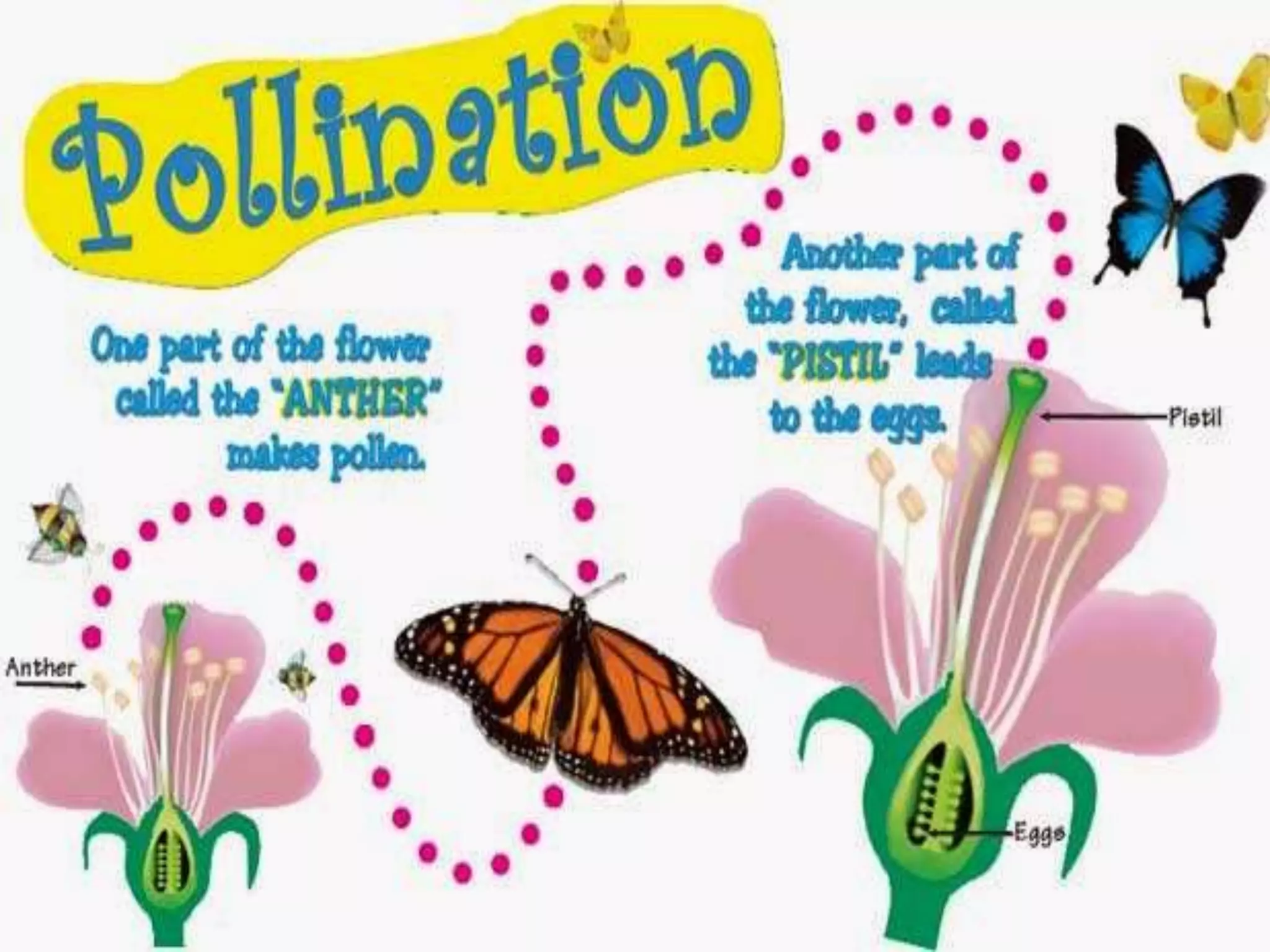 Modes of pollination | PPTX
