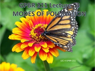 Modes of pollination | PPTX