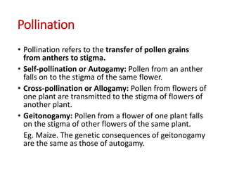 Modes of pollination | PPTX