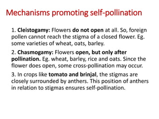 Modes of pollination | PPTX