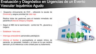 GUIA DE ENFERMEDAD VASCULAR CEREBRAL ISQUEMICA | PPTX
