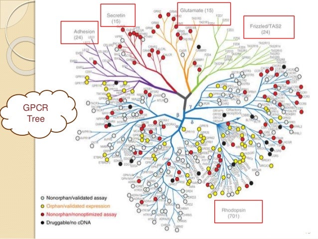 G- Protein Coupled Receptors