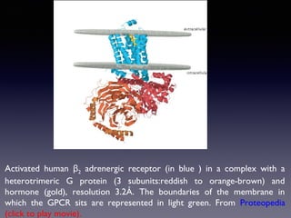 Gpcr structures 061213 | PPT