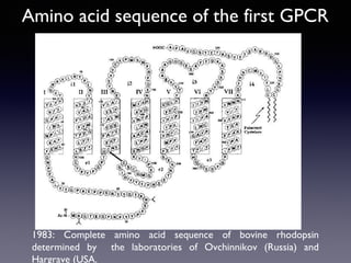 Gpcr structures 061213 | PPT