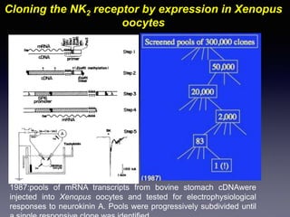 Structural studies of GPCRs | PPTX