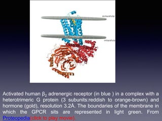 Structural studies of GPCRs | PPTX