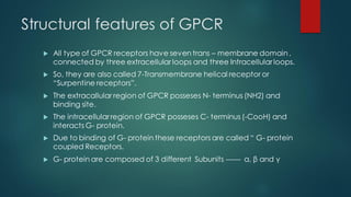 G protein coupled receptors | PPT