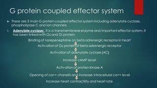 G protein coupled receptors | PDF