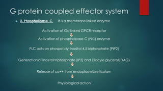 G protein coupled receptors | PDF