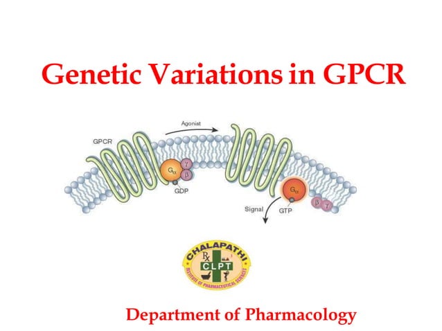 Gpcr genetic variation | PPT