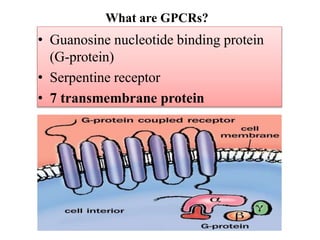 Gpcr in plants | PPTX
