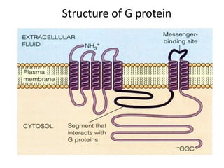 Gpcr in plants | PPTX