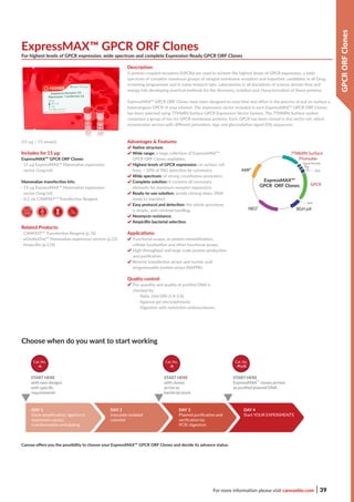 GPCR ORF Clones | PDF