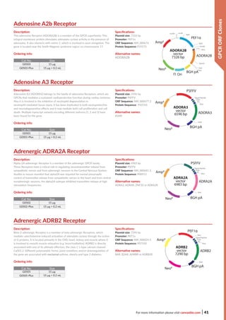 GPCR ORF Clones | PDF