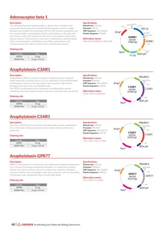 GPCR ORF Clones | PDF