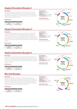GPCR ORF Clones | PDF