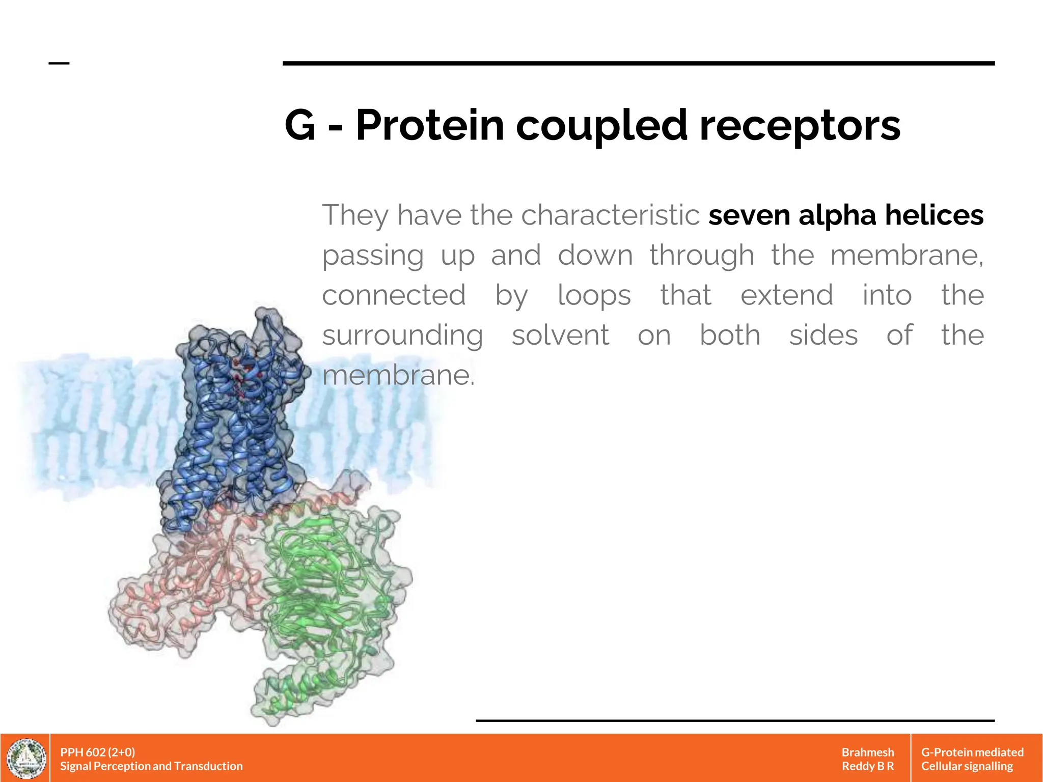 G-protein coupled receptors and crucial roles in cellular signaling | PPT