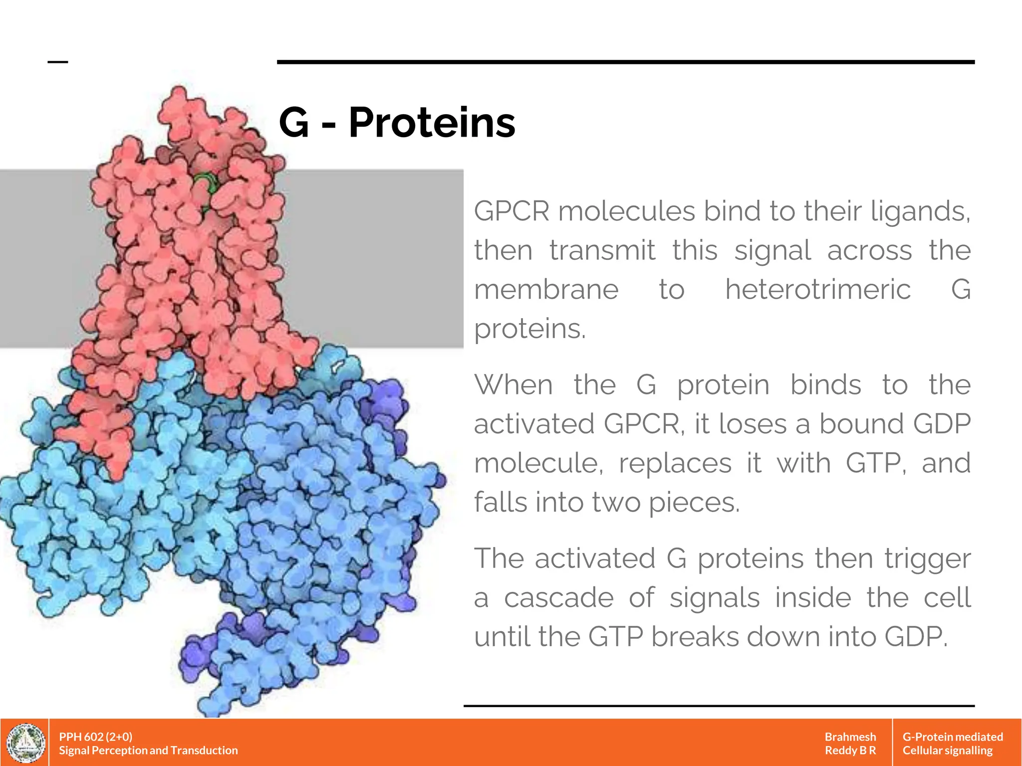 G-protein coupled receptors and crucial roles in cellular signaling | PPT
