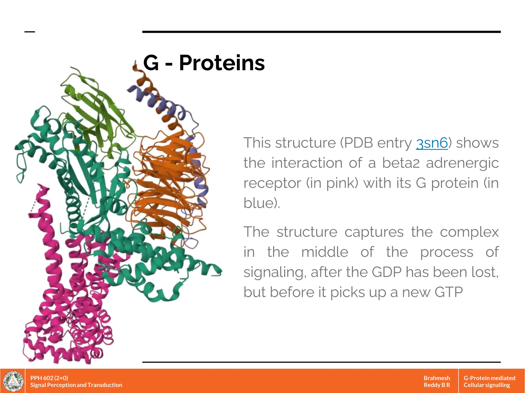 G-protein coupled receptors and crucial roles in cellular signaling | PPT