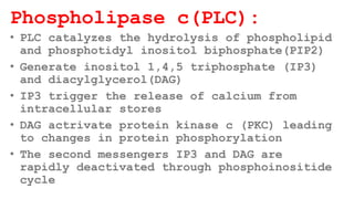 GPCRs G protein coupled receptors and examples of drugs .pptx