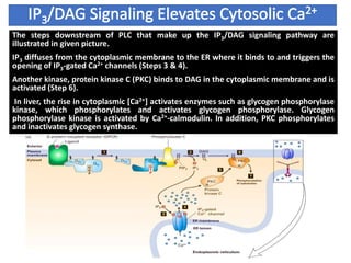Gpcr signalling | PPTX