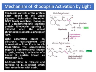 Gpcr signalling | PPTX
