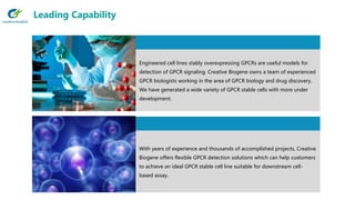 GPCR stable cell line development | PPT
