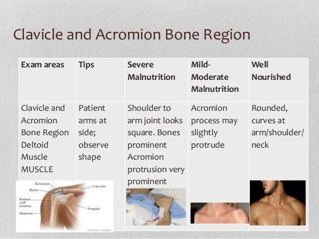 General Physical Examination