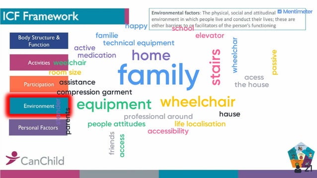 ICF in Practice and F-Words | PPT