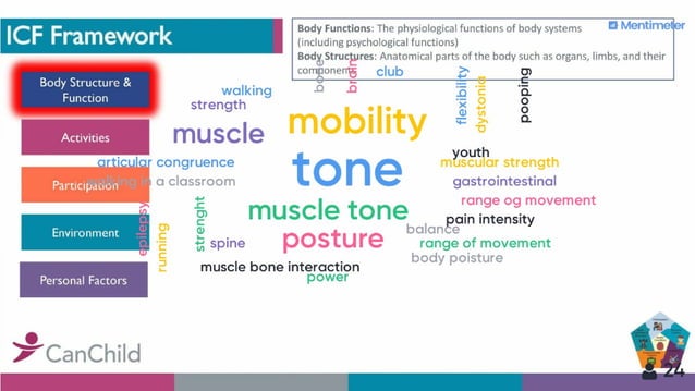 ICF in Practice and F-Words | PPT