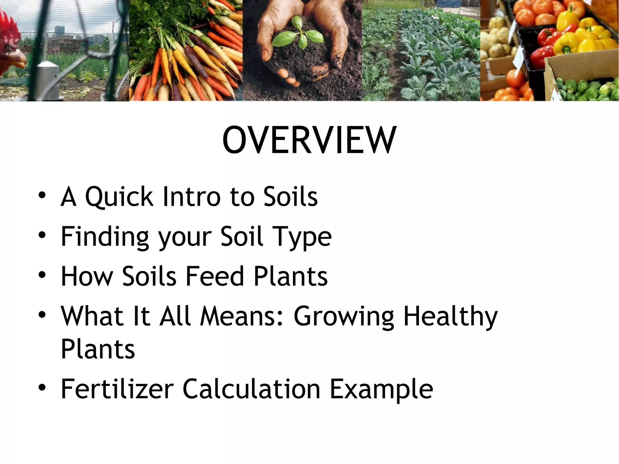 Basics of Soil Fertility for Urban (and Non-Urban) Growers | PPT