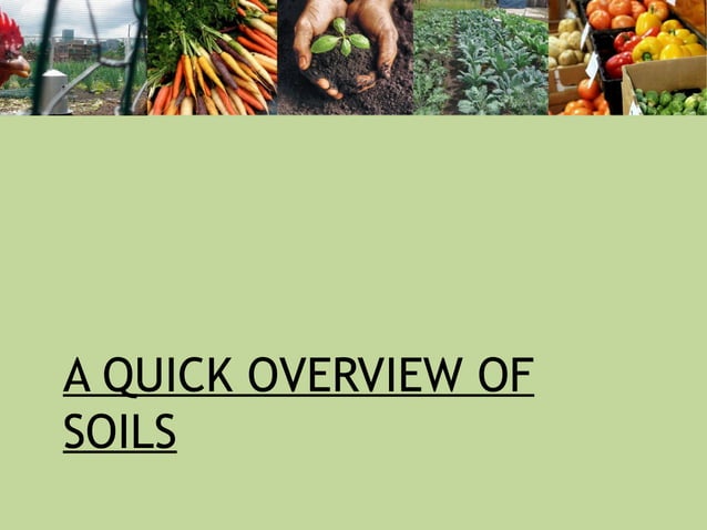 Basics of Soil Fertility for Urban (and Non-Urban) Growers | PPT