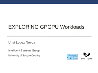 Exploring Gpgpu Workloads | PPT