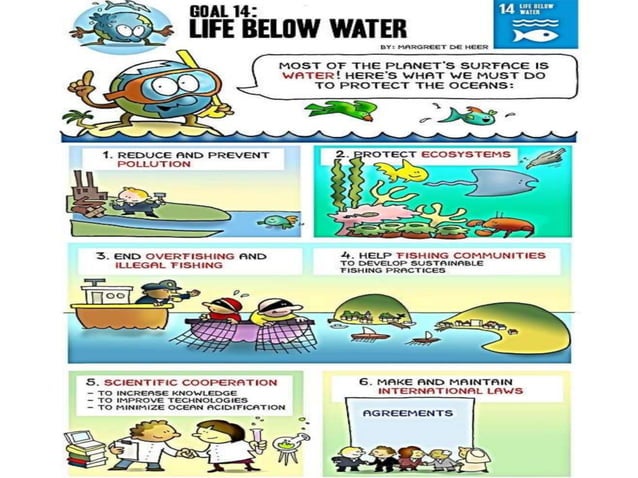 SDG Goal 14 | PPTX | Geography | Science