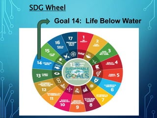 SDG Goal 14 | PPTX